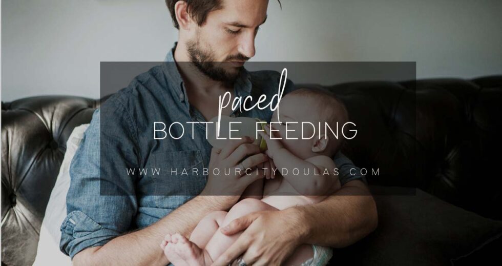 Paced Bottle Feeding - Harbour City Doulas