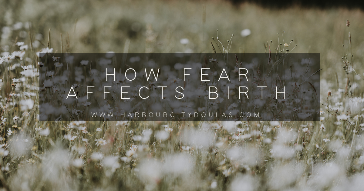 The Fear-Tension-Pain Cycle - Harbour City Doulas The Fear-Tension-Pain Cycle - Harbour City Doulas