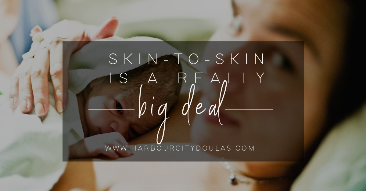 Skin-to-Skin Is A Really Big Deal - Harbour City Doulas